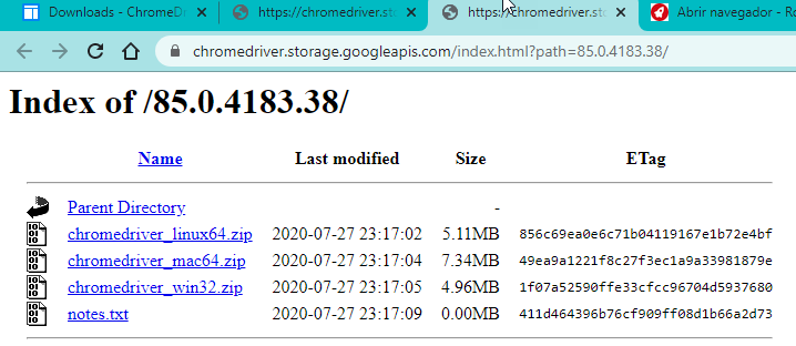 cannot find Chrome binary - Rocketbot Forum